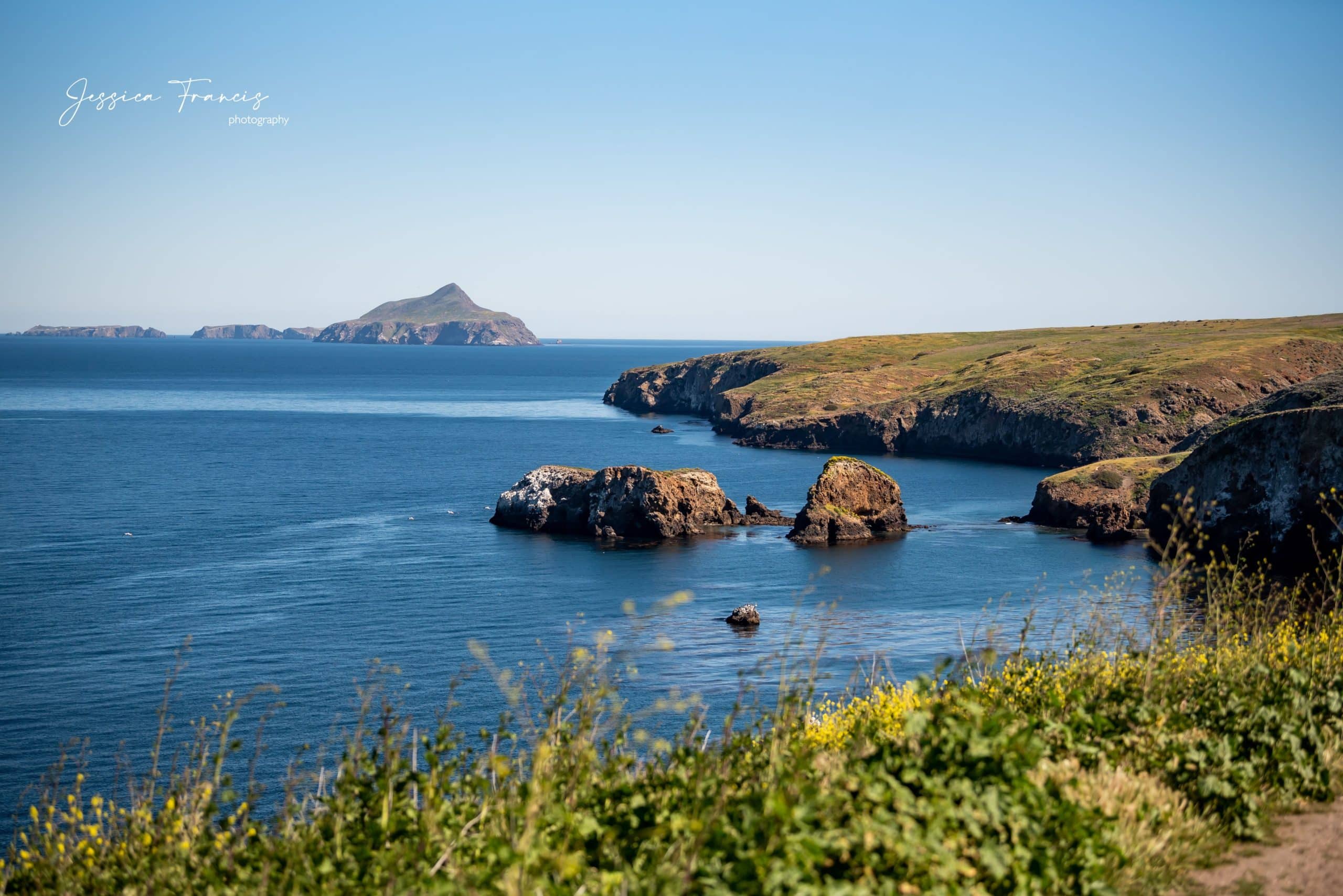 One of the Best Spring Break Destinations for Families in California