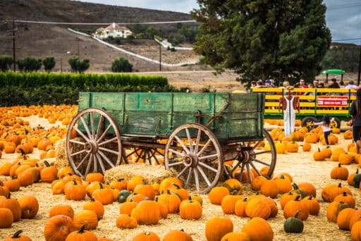 28th Annual Fall Harvest Festival - Ventura County Coast