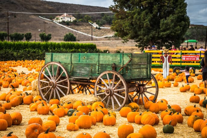 28th Annual Fall Harvest Festival - Ventura County Coast